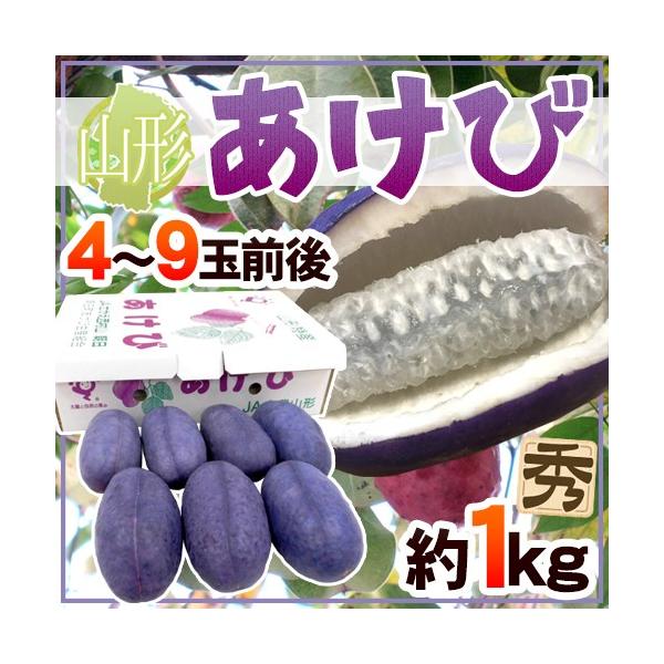 【発売日：2026年09月15日】【送料無料】身の部分だけじゃなく、実は皮まで食べられる！昔懐かしいフルーツとして、山形県の伝統野菜として♪楽しみ方いろいろな秋の果実！アケビ/あけび/木通/山形郷土料理/1キロ/爆買
