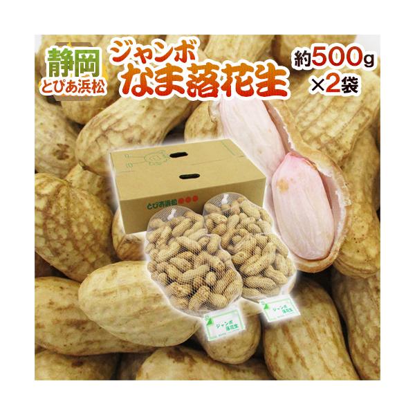 【発売日：2026年07月25日】【送料無料】収穫時期にしか味わえない希少な逸品！塩ゆで落花生にすると、栗や芋のようなホクホクとした食感と濃い甘みの味わいが楽しめるので、おつまみ＆おやつに◎♪落花生/ラッカセイ/らっかせい/ピーナッツ/ぴー...