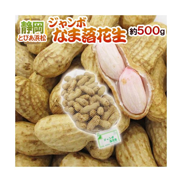 【発売日：2026年07月25日】【送料無料】収穫時期にしか味わえない希少な逸品！塩ゆで落花生にすると、栗や芋のようなホクホクとした食感と濃い甘みの味わいが楽しめるので、おつまみ＆おやつに◎♪落花生/ラッカセイ/らっかせい/ピーナッツ/ぴー...