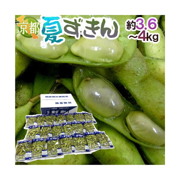 【発売日：2026年08月10日】【送料無料】豊かな甘さと濃厚な豆のうまみ♪「丹波黒大豆」から生まれた黒枝豆の最高峰「紫ずきん」から生まれた「夏に食べられる紫ずきん【夏ずきん】」/4キロ/爆買