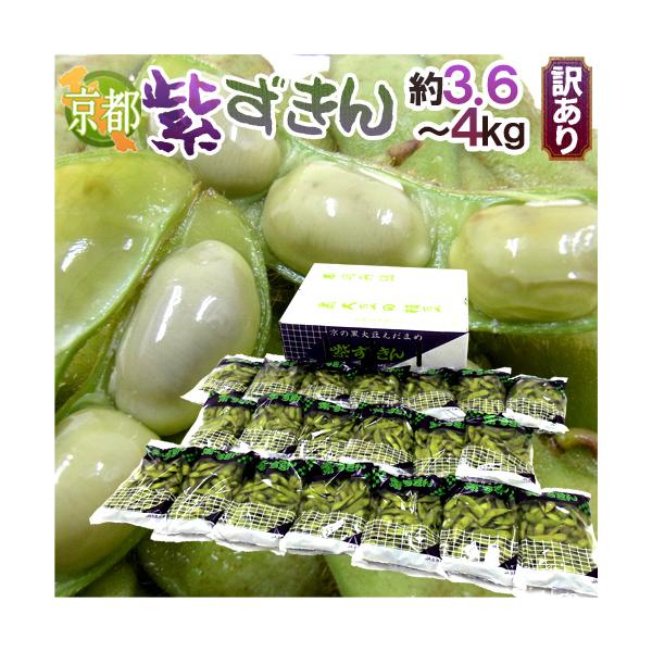 【発売日：2026年09月15日】【送料無料】京都府産【紫ずきん】豊かな甘さと濃厚な豆のうまみ♪「丹波黒大豆」から生まれた黒枝豆の最高峰！そのコクは絶品です！/黒枝豆/黒豆の枝豆/4キロ/爆買