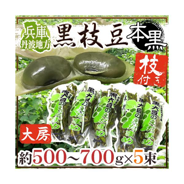 【発売日：2026年10月20日】【送料無料】鮮度バッチリの枝付き限定！枝豆にこだわる人が選ぶ「本黒・黒枝豆」豆の甘さ、コク、むっちりとした食感は他の枝豆とは一線を画します♪枝豆/えだまめ/エダマメ/EDAMAME/兵庫/丹波黒豆/本黒/丹...