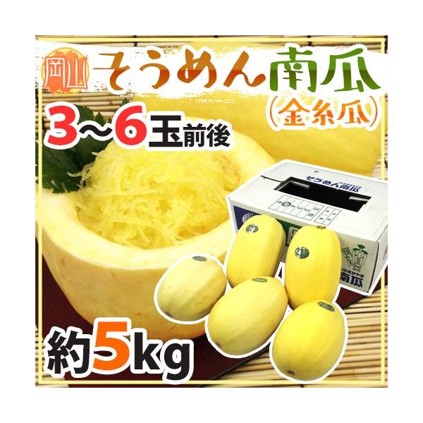 【発売日：2026年06月15日】天然のベジヌードル！？茹でるだけでそうめんみたいに麺状にほぐれる不思議なカボチャ「そうめん南瓜」シャクっとした食感が食欲をそそります！そうめんカボチャ/素麺南瓜/糸瓜/金糸瓜/糸かぼちゃ/そうめん南京/そう...