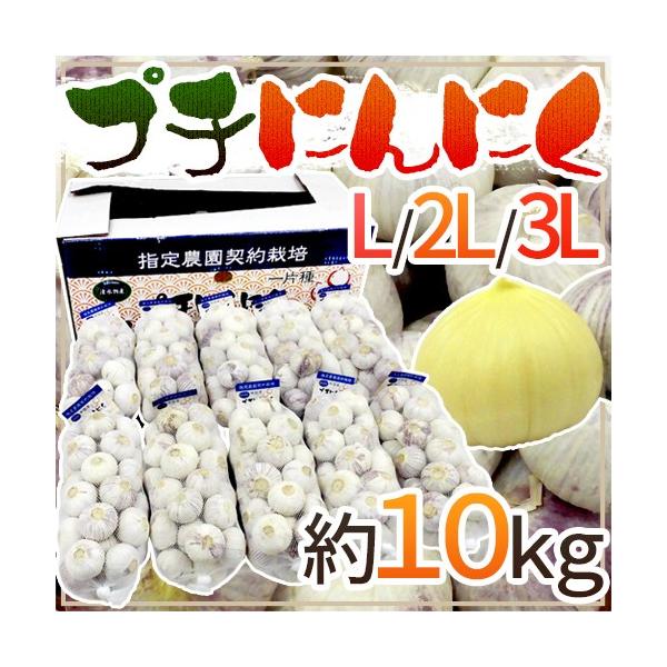 【送料無料】タマネギみたいな姿がカワイイ！1玉が1粒で食べ応えバツグン♪希少な「一片種」「高山種」のにんにく！香りがマイルドで旨み◎だからグリルなどにも最適です！ニンニク/大蒜/葫/ミニにんにく/一片にんにく/高山にんにく/10キロ/爆買