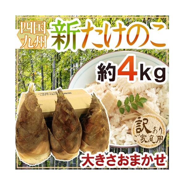 【発売日：2026年03月25日】【送料無料】今が旬！やわらか〜い一番掘りたけのこ！風味・食感・甘味どれを取っても中国産とは違います！春の食材を鮮度抜群でお届けです♪/筍/タケノコ/竹の子/たけのこ/笋/4キロ/爆買