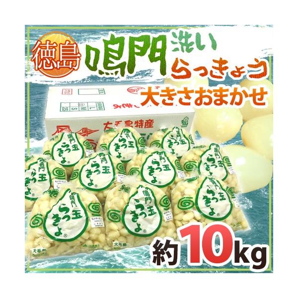 【発売日：2026年05月25日】徳島県、鳴門の大毛島の「銀砂」と呼ばれる海砂で作られたらっきょうは小粒でシャキシャキ感が絶妙です♪根や芽を切る手間がないから気軽におうちでらっきょう漬け作り！/10キロ/爆買