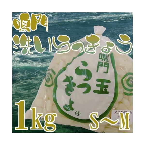 【発売日：2026年05月25日】徳島県、鳴門の大毛島の「銀砂」と呼ばれる海砂で作られたらっきょうは小粒でシャキシャキ感が絶妙です♪根や芽を切る手間がないから気軽におうちでらっきょう漬け作り！/1キロ/爆買