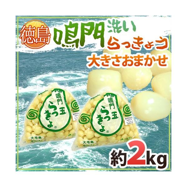 【発売日：2026年05月25日】徳島県、鳴門の大毛島の「銀砂」と呼ばれる海砂で作られたらっきょうは小粒でシャキシャキ感が絶妙です♪根や芽を切る手間がないから気軽におうちでらっきょう漬け作り！/2キロ/爆買