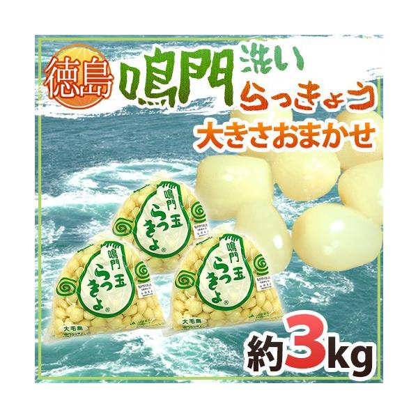 【発売日：2026年05月25日】徳島県、鳴門の大毛島の「銀砂」と呼ばれる海砂で作られたらっきょうは小粒でシャキシャキ感が絶妙です♪根や芽を切る手間がないから気軽におうちでらっきょう漬け作り！/3キロ/爆買