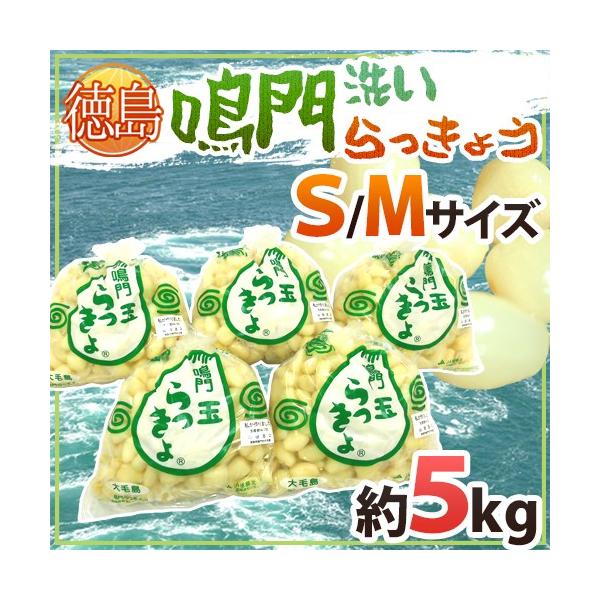 【発売日：2026年05月25日】徳島県、鳴門の大毛島の「銀砂」と呼ばれる海砂で作られたらっきょうは小粒でシャキシャキ感が絶妙です♪根や芽を切る手間がないから気軽におうちでらっきょう漬け作り！/5キロ/爆買