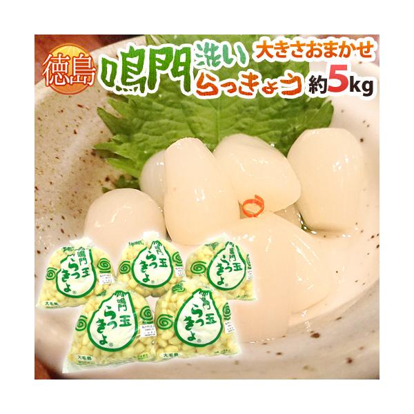 【発売日：2026年05月25日】徳島県、鳴門の大毛島の「銀砂」と呼ばれる海砂で作られたらっきょうは小粒でシャキシャキ感が絶妙です♪根や芽を切る手間がないから気軽におうちでらっきょう漬け作り！/5キロ/爆買