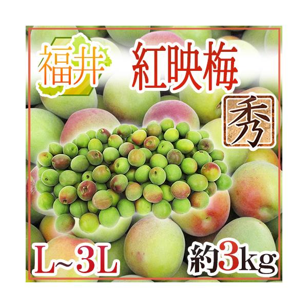 【発売日：2026年06月15日】【送料無料】果皮がやわらかで種は小さくそのぶん果肉が厚い！熟して紅色に染まった周辺は甘酸っぱい芳香につつまれ、酸味が穏やかなとっても品を感じる梅です♪/3キロ/爆買