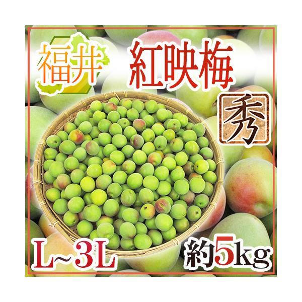 【発売日：2026年06月15日】【送料無料】果皮がやわらかで種は小さくそのぶん果肉が厚い！熟して紅色に染まった周辺は甘酸っぱい芳香につつまれ、酸味が穏やかなとっても品を感じる梅です♪/5キロ/爆買