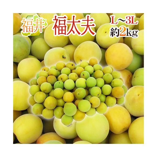 【発売日：2026年05月31日】【送料無料】新平太夫のように桃やアンズのようなフルーティで、さわやかな甘いよい香りがして酸味がマイルドなため、梅酒や菓子だけでなく、梅干しなどにしても美味しい「福太夫」♪/2キロ/爆買