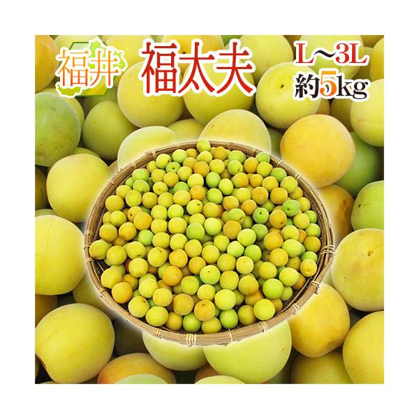 【発売日：2026年05月31日】【送料無料】新平太夫のように桃やアンズのようなフルーティで、さわやかな甘いよい香りがして酸味がマイルドなため、梅酒や菓子だけでなく、梅干しなどにしても美味しい「福太夫」♪/5キロ/爆買