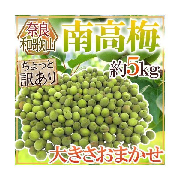 【発売日：2026年06月05日】【送料無料】トップブランド・和歌山産とそれに負けない品質！奈良産の「南高梅」フルーティーな香りと肉厚さはさすが南高梅♪自分で漬ける梅酒・梅干しがやっぱり美味しい！青梅/熟梅/梅干し/うめぼし/梅酒/梅シロッ...
