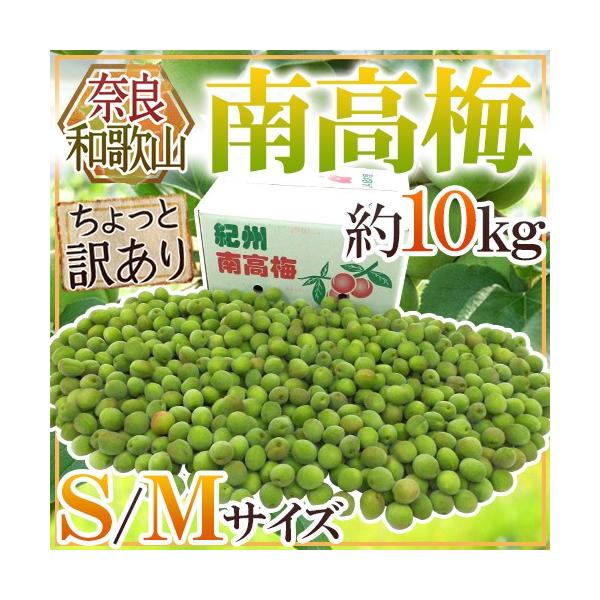 【発売日：2026年06月05日】【送料無料】トップブランド・和歌山産とそれに負けない品質！奈良産の「南高梅」フルーティーな香りと肉厚さはさすが南高梅♪自分で漬ける梅酒・梅干しがやっぱり美味しい！青梅/熟梅/梅干し/うめぼし/梅酒/梅シロッ...