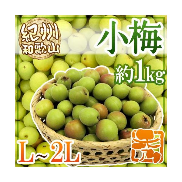 【発売日：2026年05月15日】やっぱり梅といったら紀州・和歌山！南高梅や古城梅で有名な和歌山県は、やっぱり小梅も高品質！肉厚で皮が薄く、いい香りの高品質小梅です♪/1キロ/爆買