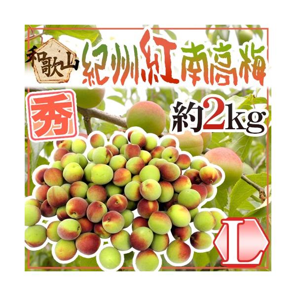 【発売日：2026年05月25日】【送料無料】太陽の光をたっぷり浴びて紅色に染まった“紅南高梅”。薄い皮と柔らかい実、うっとりするような強い香りは最高級品質！青梅/梅酒用/梅ジャム用/梅干し用/梅サワー用/梅ジュース用/ウメ/うめ/実梅/な...