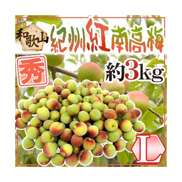 【発売日：2026年05月25日】【送料無料】太陽の光をたっぷり浴びて紅色に染まった“紅南高梅”。薄い皮と柔らかい実、うっとりするような強い香りは最高級品質！青梅/梅酒用/梅ジャム用/梅干し用/梅サワー用/梅ジュース用/ウメ/うめ/実梅/な...