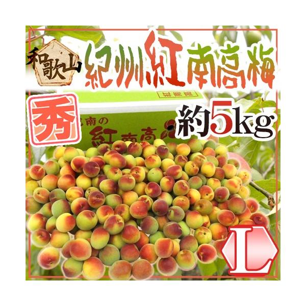 【発売日：2026年05月25日】【送料無料】太陽の光をたっぷり浴びて紅色に染まった“紅南高梅”。薄い皮と柔らかい実、うっとりするような強い香りは最高級品質！/紅梅/梅酒用/梅干し用/梅ジャム用/紀州梅/5キロ/爆買