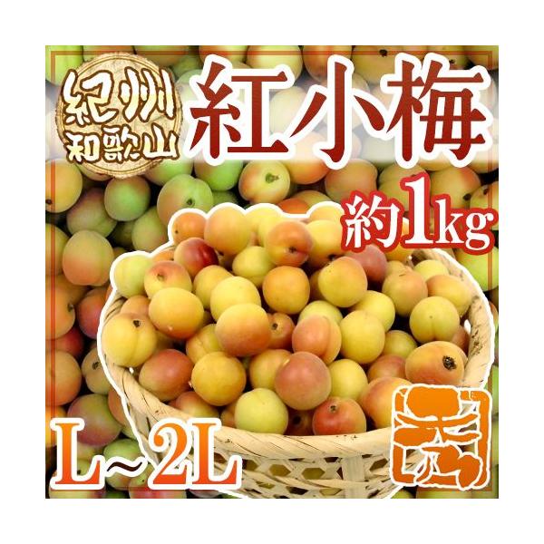 【発売日：2026年05月15日】やっぱり梅といったら紀州・和歌山！南高梅や古城梅で有名な和歌山県は、やっぱり小梅も高品質！肉厚で皮が薄く、いい香りの高品質紅小梅です♪/1キロ/爆買