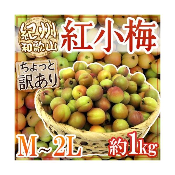 【発売日：2026年05月15日】やっぱり梅といったら紀州・和歌山！南高梅や古城梅で有名な和歌山県は、やっぱり小梅も高品質！肉厚で皮が薄く、いい香りの高品質紅小梅です♪/1キロ/爆買