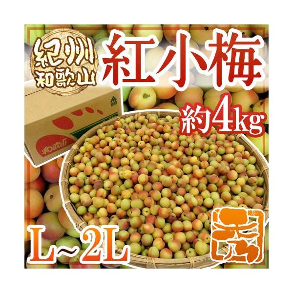 【発売日：2026年05月15日】【送料無料】やっぱり梅といったら紀州・和歌山！南高梅や古城梅で有名な和歌山県は、やっぱり小梅も高品質！肉厚で皮が薄く、いい香りの高品質紅小梅です♪/4キロ/爆買