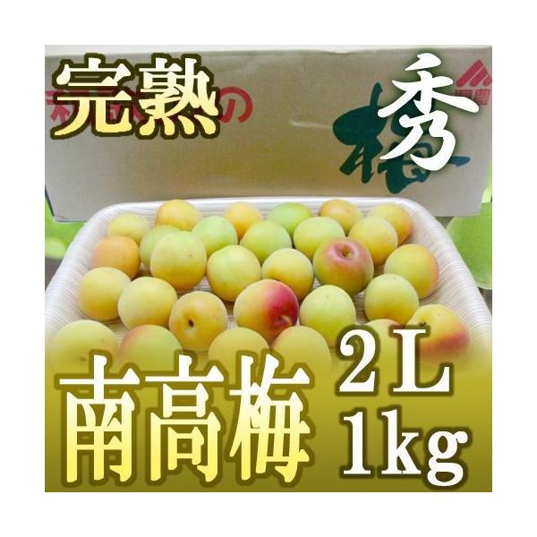 【発売日：2026年06月10日】紀州・和歌山【南高梅　完熟】種が小さく肉厚で柔らかい梅！梅干しや梅ジャムなどに最適な完熟でお届けいたします♪/1キロ/爆買