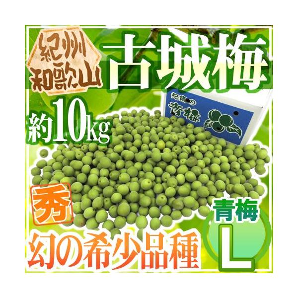【発売日：2026年05月31日】【送料無料】市場にはほとんど出回らないと言われる超希少な古城梅。梅のうまみがギューッと詰まった古城梅はとことんこだわる方に最適です！/10キロ/爆買