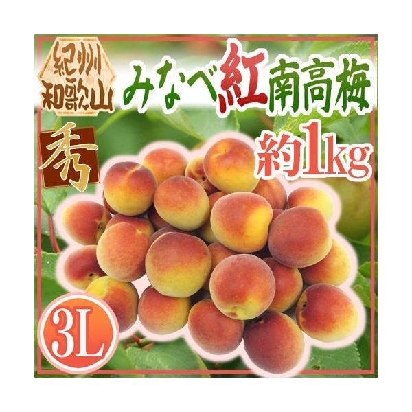 【発売日：2026年05月31日】太陽の光を浴びて紅色に染まった梅！ブランド梅産地・紀州和歌山の中でも名産地「みなべ」で育ったとっても希少な紅い南高梅をお届けします！/1キロ/爆買
