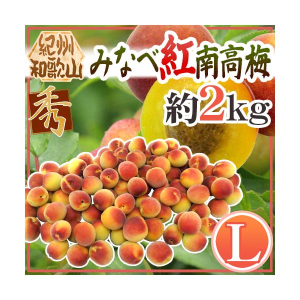 【発売日：2026年05月31日】【送料無料】太陽の光を浴びて紅色に染まった梅！ブランド梅産地・紀州和歌山の中でも名産地「みなべ」で育ったとっても希少な紅い南高梅をお届けします！/2キロ/爆買