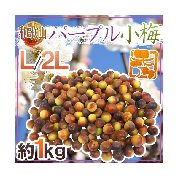【発売日：2026年05月25日】やっぱり梅といったら紀州・和歌山！超希少品種♪濃い紫色に染まった「パープル小梅」濃い色素がシロップやお酒に溶け出して、ピンクの梅酒やシロップに♪紫小梅/紅小梅/パープル小梅/パープルクィーン/パープルクイー...