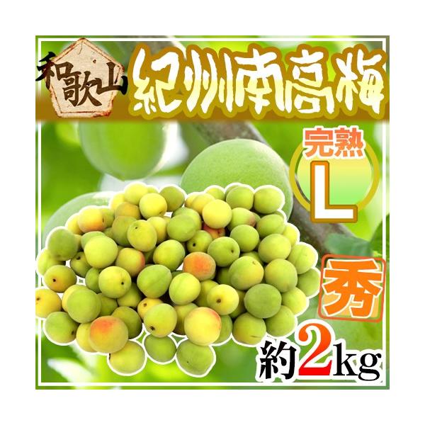 【発売日：2026年06月10日】【送料無料】日本一のブランド梅産地・紀州和歌山の《南高梅》種が小さく肉厚で柔らかい！甘い香りがたまらない梅干しに最適な熟梅♪/2キロ/爆買