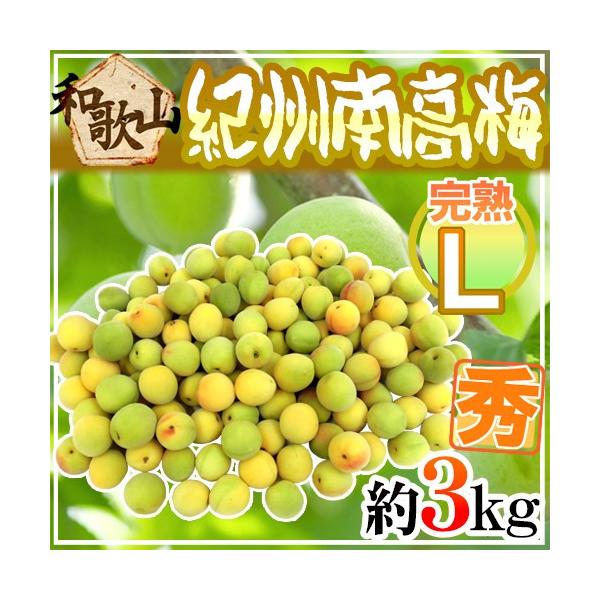 【発売日：2026年06月10日】【送料無料】日本一のブランド梅産地・紀州和歌山の《南高梅》種が小さく肉厚で柔らかい！甘い香りがたまらない梅干しに最適な熟梅♪/3キロ/爆買