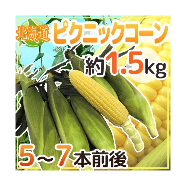 【発売日：2026年08月20日】「冷たくされると甘いんです！」他のコーンとは一味違う♪冷やしても美味しい画期的とうもろこし！テレビや雑誌でも取り上げられる超注目！極甘品種です♪/1.5キロ/爆買