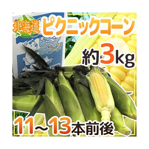 【発売日：2026年08月20日】「冷たくされると甘いんです！」他のコーンとは一味違う♪冷やしても美味しい画期的とうもろこし！テレビや雑誌でも取り上げられる超注目！極甘品種です♪/3キロ/爆買