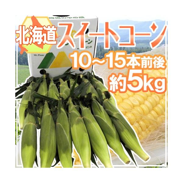 【発売日：2026年08月20日】北海道の寒暖差だからこそ為せる極上の甘さ♪「生で食べられるの！？」一口食べると「こんなに甘いの！？」従来のコーンとは別物の甘さは驚きの一言！/フルーツコーン/とうもろこし/玉蜀黍/5キロ/爆買