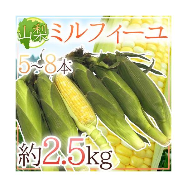 【発売日：2026年05月30日】まるでフルーツ！！一口食べたらトウモロコシ観が変わる！？口の中に広がる甘味と旨みのハーモニーは絶品！！デザートみたいな甘さです♪/2.5キロ/爆買