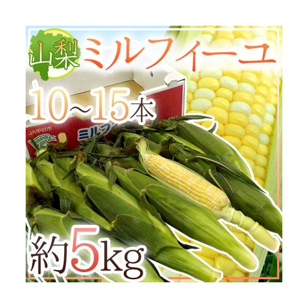 【発売日：2026年05月30日】まるでフルーツ！！一口食べたらトウモロコシ観が変わる！？口の中に広がる甘味と旨みのハーモニーは絶品！！デザートみたいな甘さです♪/5キロ/爆買
