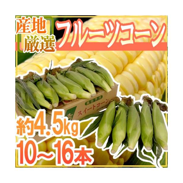 【発売日：2026年05月25日】えっ！？トウモロコシってこんなに甘いの！？一口食べたら衝撃を受ける、まるでフルーツみたいなトウモロコシ！その甘さはメロンを凌ぐ！/4.5キロ/爆買