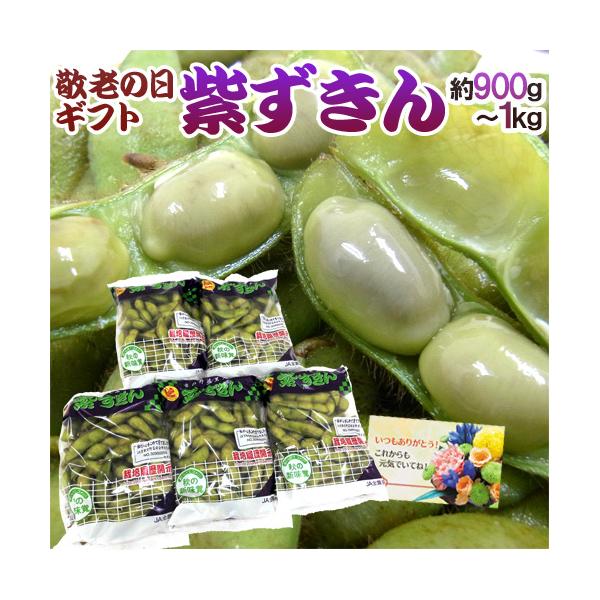 【発売日：2026年09月13日】【送料無料】残暑厳しい秋に美味しい《黒豆の枝豆・紫ずきん》コク深い味わいはビール好きの方にも喜ばれます！超大粒ブランド枝豆をおじいちゃん・おばあちゃんに♪紫ずきん/むらさきずきん/紫頭巾/枝豆/edamam...