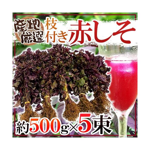 【発売日：2026年05月25日】古来から薬効があると言われ重宝されてきた赤しそ。食欲をそそる豊かな香りと鮮やかな赤色は梅干しにもぴったり♪/赤紫蘇/赤シソ/2.5キロ/爆買