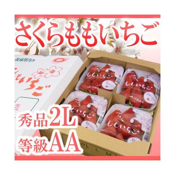 「ももいちご」のさらに1ランク上をいくとも言われている逸品、ぜひ贈答用やご家庭用としてお楽しみください！甘くて大粒でジューシーな【さくらももいちご】厳重梱包でお届けいたします♪/フルーツ/果物/爆買