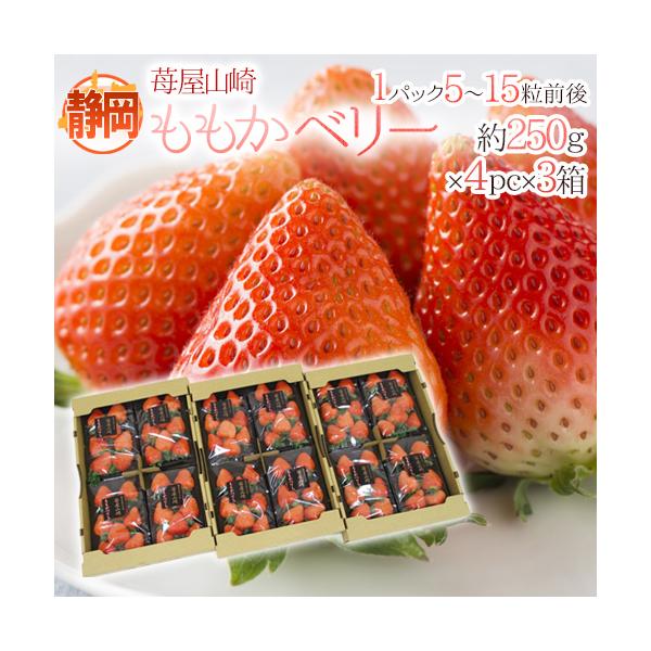 【発売日：2026年01月25日】【送料無料】淡いピンク色とほのかな桃の香りが特徴の超希少品種「ももかベリー」♪通常より約1.5倍もの日数をかけた熟成いちごは驚異的な糖度に！ももかベリー/莓屋山崎/完熟/ももか/ももいちご/桃苺/静岡/いち...