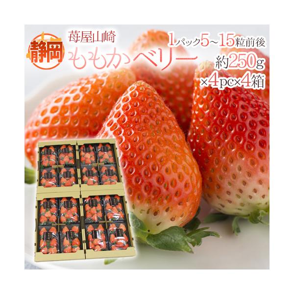 【発売日：2026年01月25日】【送料無料】淡いピンク色とほのかな桃の香りが特徴の超希少品種「ももかベリー」♪通常より約1.5倍もの日数をかけた熟成いちごは驚異的な糖度に！ももかベリー/莓屋山崎/完熟/ももか/ももいちご/桃苺/静岡/いち...
