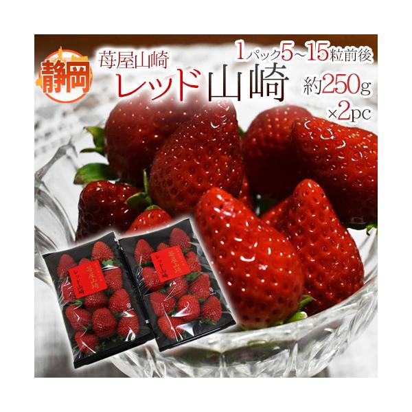【発売日：2026年01月25日】【送料無料】甘酸っぱい濃厚な苺の超希少品種「レッド山崎」♪艶やかで深紅の姿は、インパクト抜群！通常より約1.5倍もの日数をかけた熟成いちごは驚異的な糖度に！レッド山崎/莓屋山崎/完熟/熟成/高糖度/静岡/い...