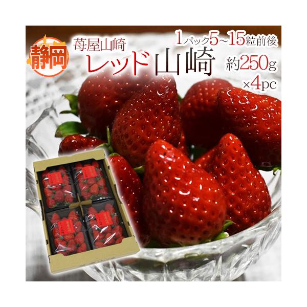 【発売日：2026年01月25日】【送料無料】甘酸っぱい濃厚な苺の超希少品種「レッド山崎」♪艶やかで深紅の姿は、インパクト抜群！通常より約1.5倍もの日数をかけた熟成いちごは驚異的な糖度に！レッド山崎/莓屋山崎/完熟/熟成/高糖度/静岡/い...