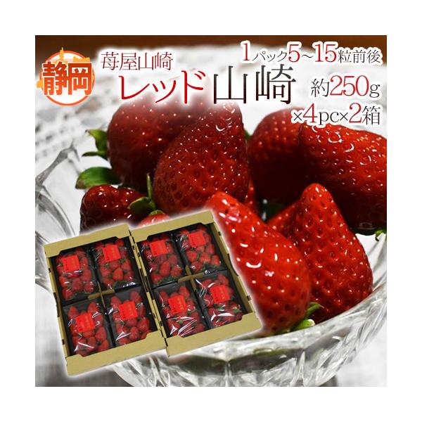 【発売日：2026年01月25日】【送料無料】甘酸っぱい濃厚な苺の超希少品種「レッド山崎」♪艶やかで深紅の姿は、インパクト抜群！通常より約1.5倍もの日数をかけた熟成いちごは驚異的な糖度に！レッド山崎/莓屋山崎/完熟/熟成/高糖度/静岡/い...
