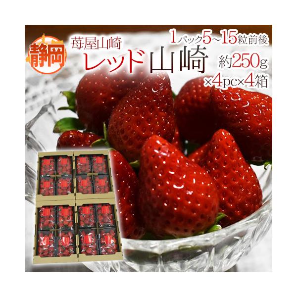 【発売日：2026年01月25日】【送料無料】甘酸っぱい濃厚な苺の超希少品種「レッド山崎」♪艶やかで深紅の姿は、インパクト抜群！通常より約1.5倍もの日数をかけた熟成いちごは驚異的な糖度に！レッド山崎/莓屋山崎/完熟/熟成/高糖度/静岡/い...